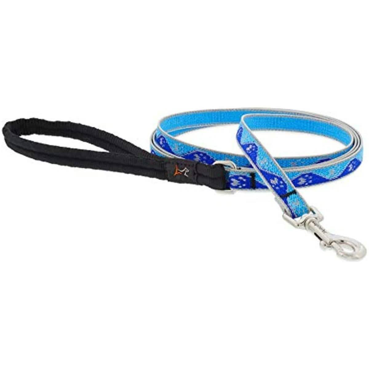 Lupine 6-Foot Dog Leash in Blue Paws Design, 1/2 Width – Pet Market NYC