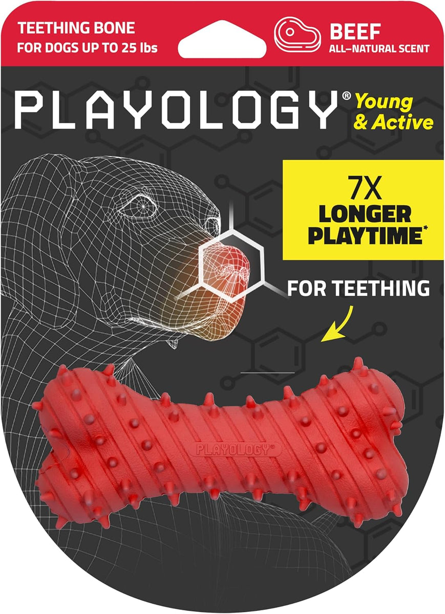 Playology Teething Bone Puppies Beef Red Small – Pet Market NYC