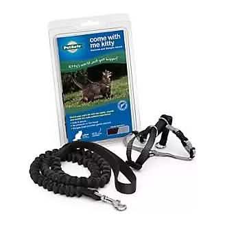 PetSafe Come With Me Kitty Harness & Bungee Leash – Pet Market NYC